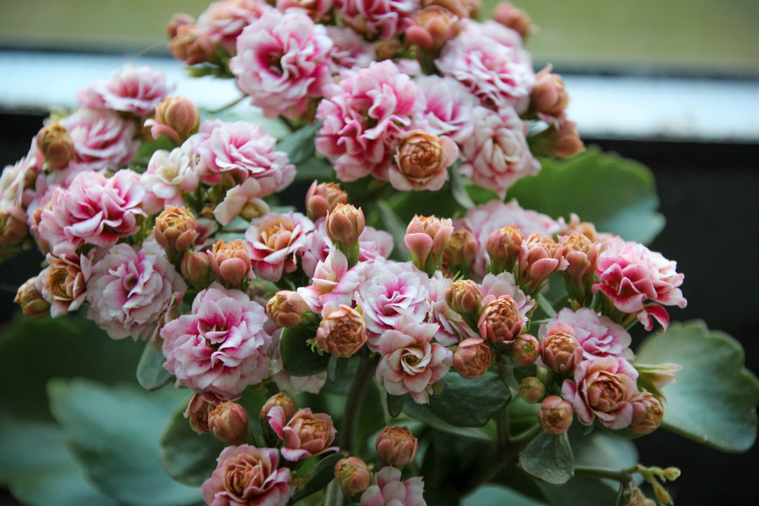 Parkowanie w Leeds: Przewodnik po Najlepszych Opcjach